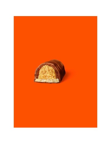 Reese’s Fast Break Snack Size – Barres chocolat & peanut butter | Pop’s ...