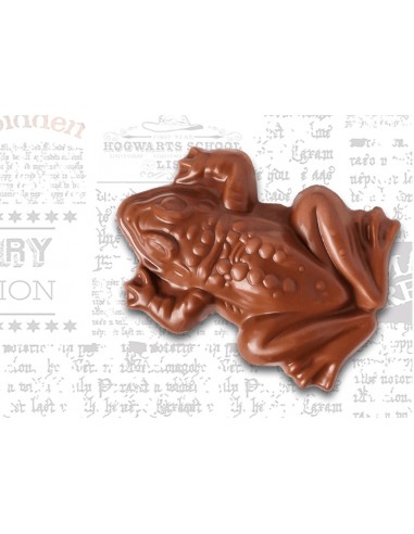 Harry Potter Chocolate Frog — Chocolate frog with wizard card