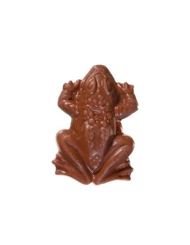 Harry Potter Chocolate Frog — Chocolate frog with wizard card